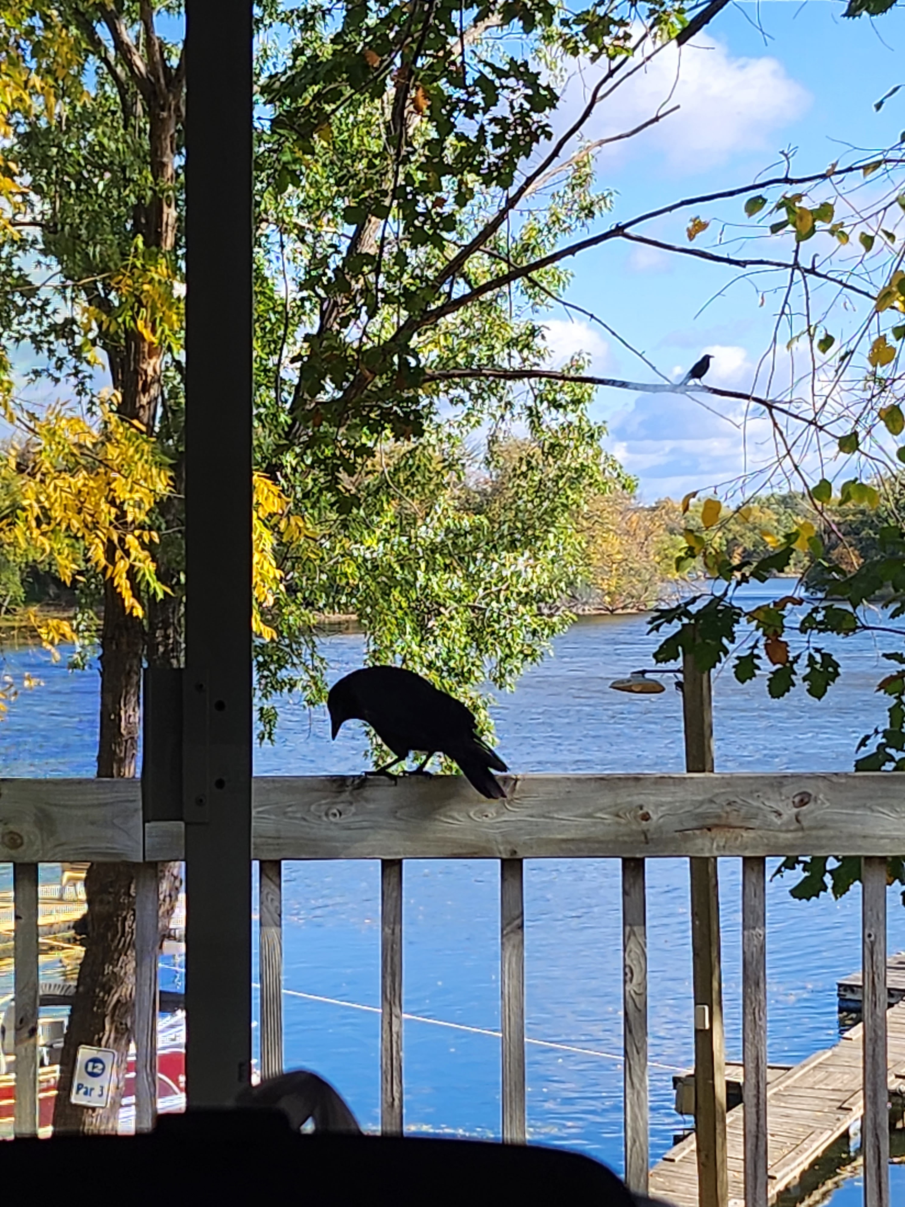 It could have been a brilliant career – Jakeb